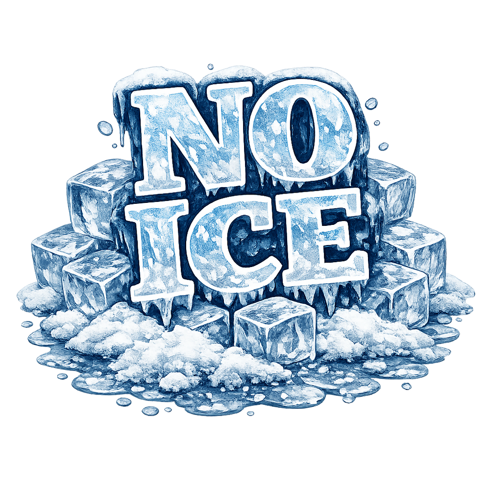 No Kings Store